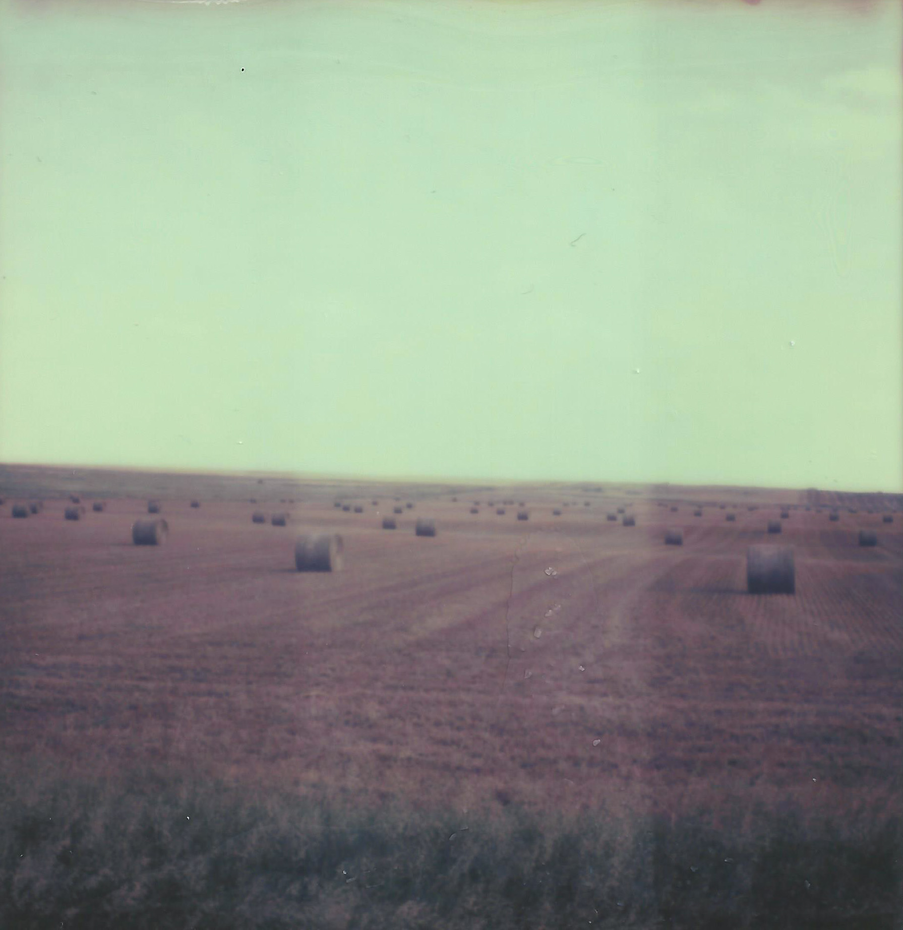 North Dakota Crop Report in Polaroids – Prairie Californian