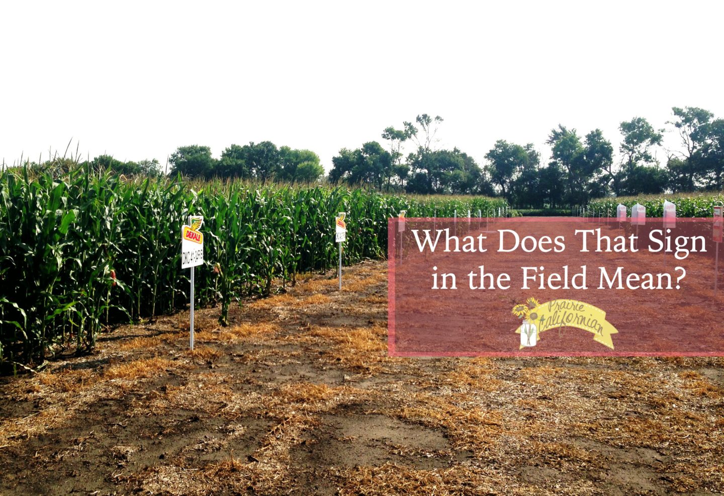 What Does That Sign In The Field Mean What Does That Sign In The Field Mean