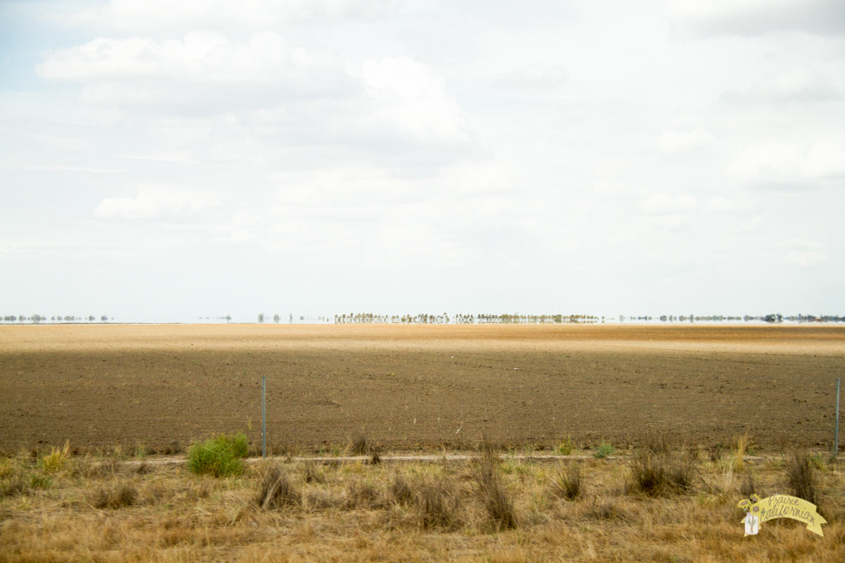 Inland & Farming-52 – Prairie Californian