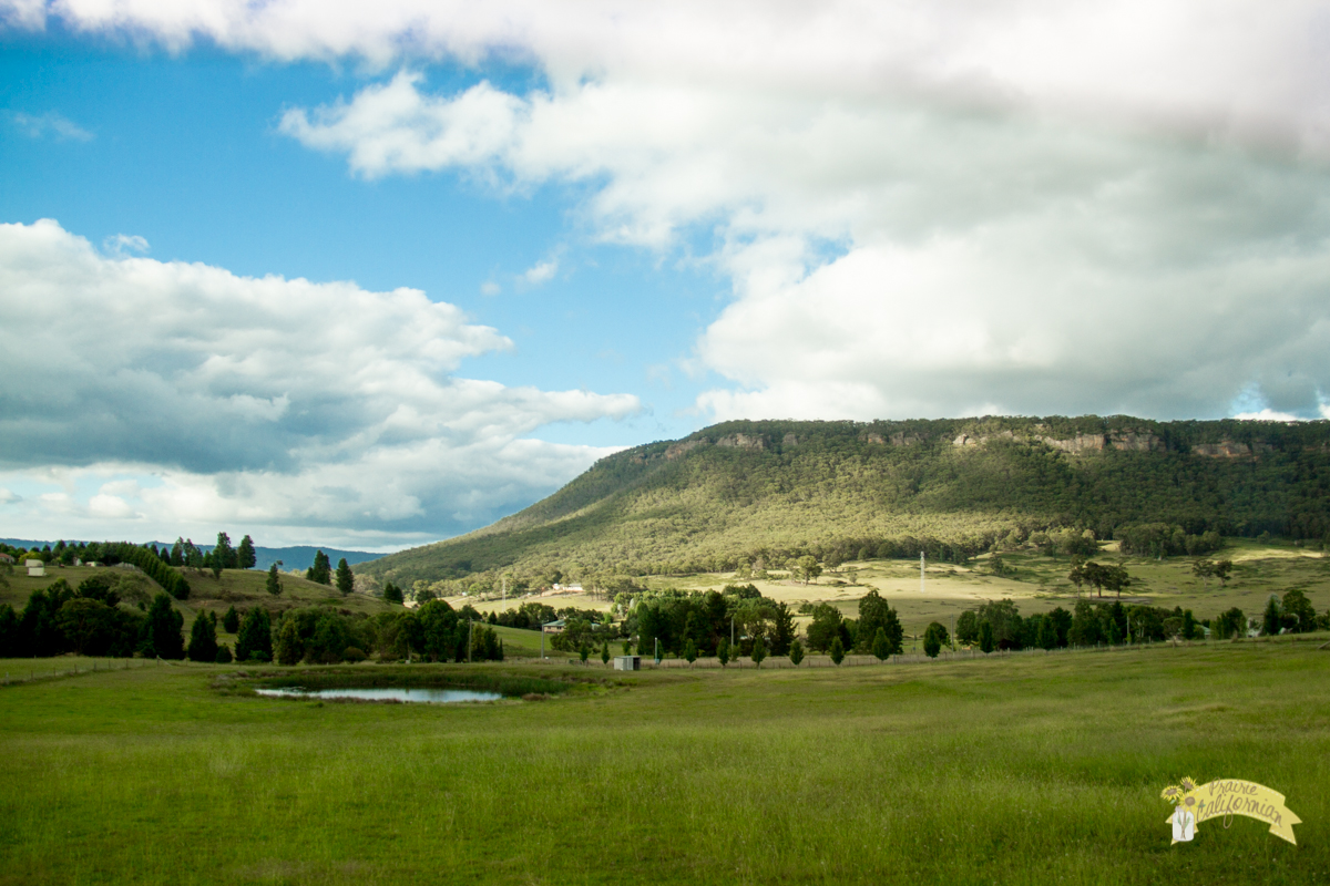 Inland & Farming-105 – Prairie Californian